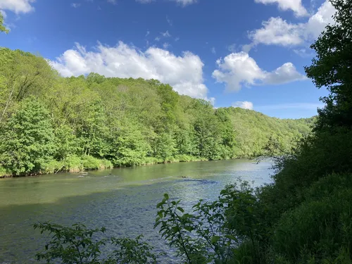 Best Hikes and Trails in New River State Park | AllTrails