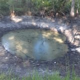 Green Swamp Wilderness Preserve Loop, Florida - 58 Reviews, Map | AllTrails