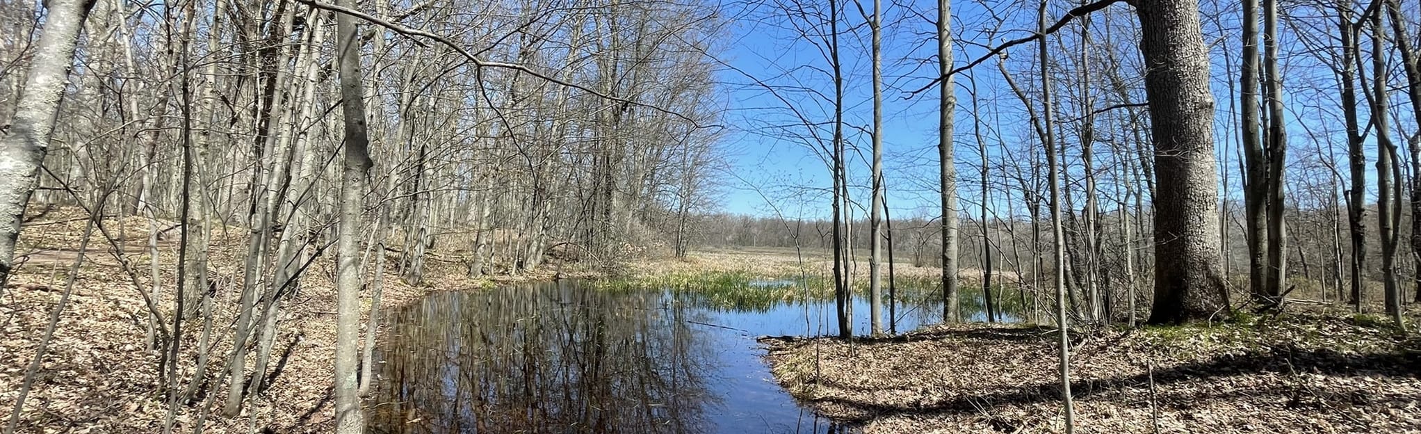 North Country Trail: Sherwin to Red Pine | Map, Guide - Michigan ...