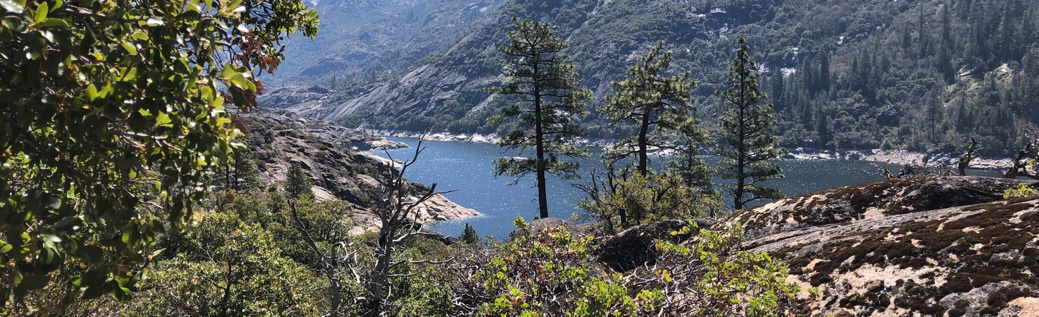 Salt Springs Reservoir Trail, California - 14 Reviews, Map | AllTrails