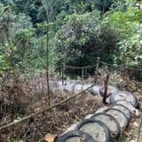 Murug Turug Eco Tourism, Sabah, Malaysia - 13 Reviews, Map | AllTrails