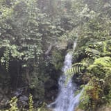 Murug Turug Eco Tourism, Sabah, Malaysia - 13 Reviews, Map | AllTrails