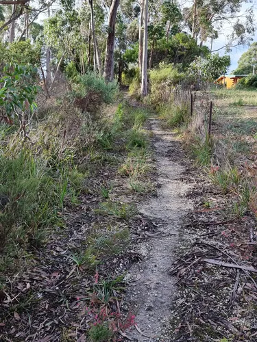 Best Hikes and Trails in Eggs And Bacon Bay | AllTrails