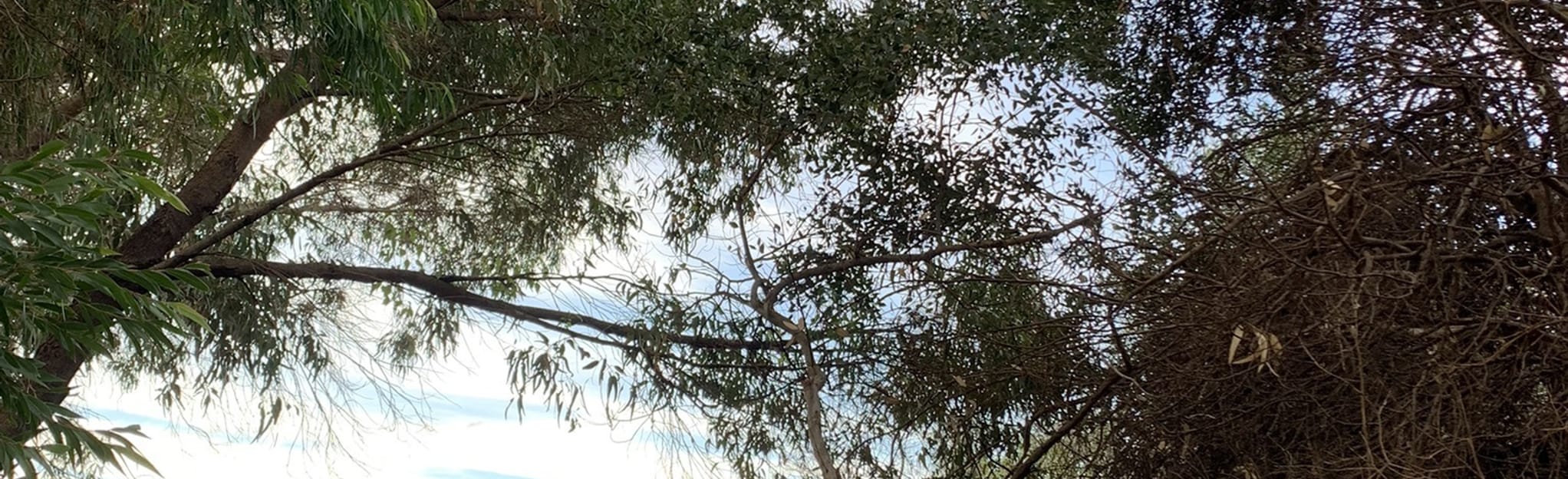 Singleton and Golden Bay Coast Walk - Western Australia, Australia ...