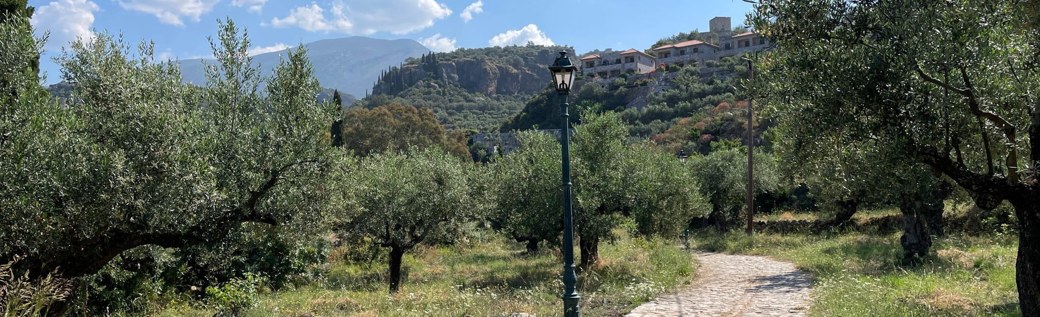 Anavryti - Tsarkos - Taygetos Refuge - Vyros Gorge - Kardamyli: 1 ...