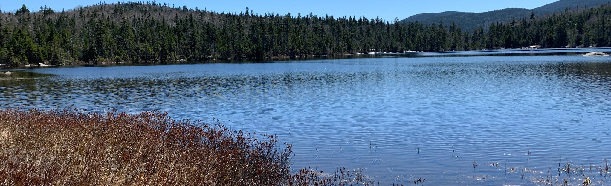 Lonesome Lake Trail, New Hampshire - 3,495 Reviews, Map | AllTrails