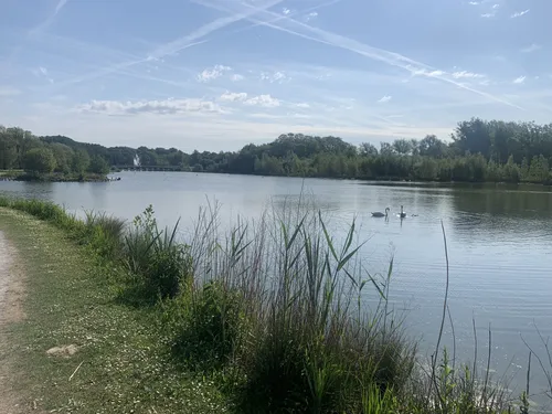 10 Best Easy Trails in Scarpe-Escaut Regional Nature Park | AllTrails