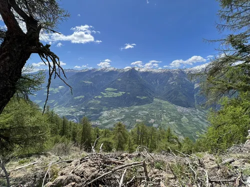 2023 Best Forest Trails in Latsch | AllTrails