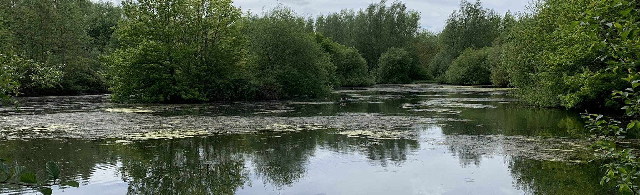 Hatcliffe and Irby Holmes Wood Circular | Map, Guide - Lincolnshire ...