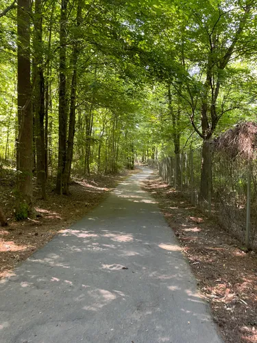 Best Hikes and Trails in Sharon Springs Park | AllTrails