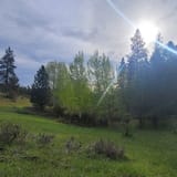 Robinson Canyon Loop, Washington - 167 Reviews, Map | AllTrails