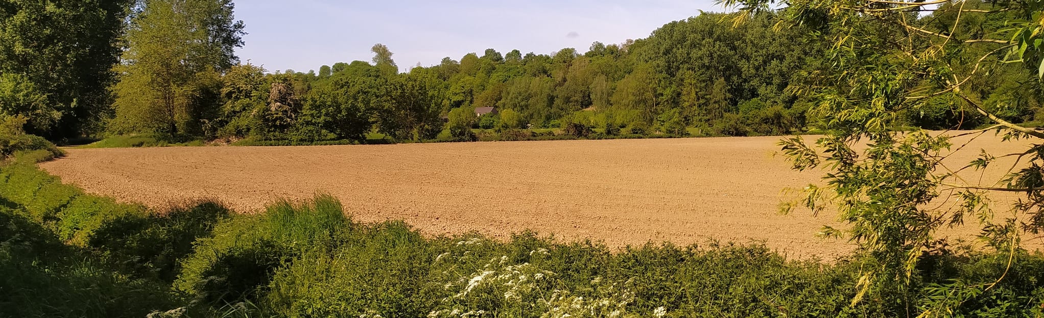 Roclenge-sur-Geer - Rectangle Vertical Jaune : 41 Photos - Province de ...