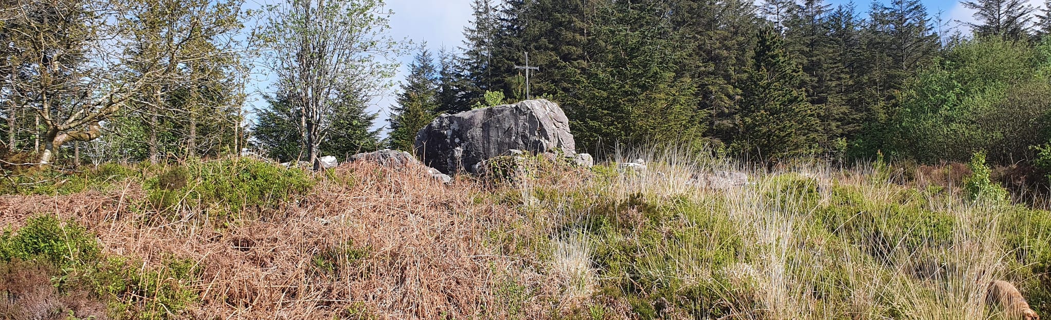 Mass Rock, County Clare, Ireland - 8 Reviews, Map | AllTrails