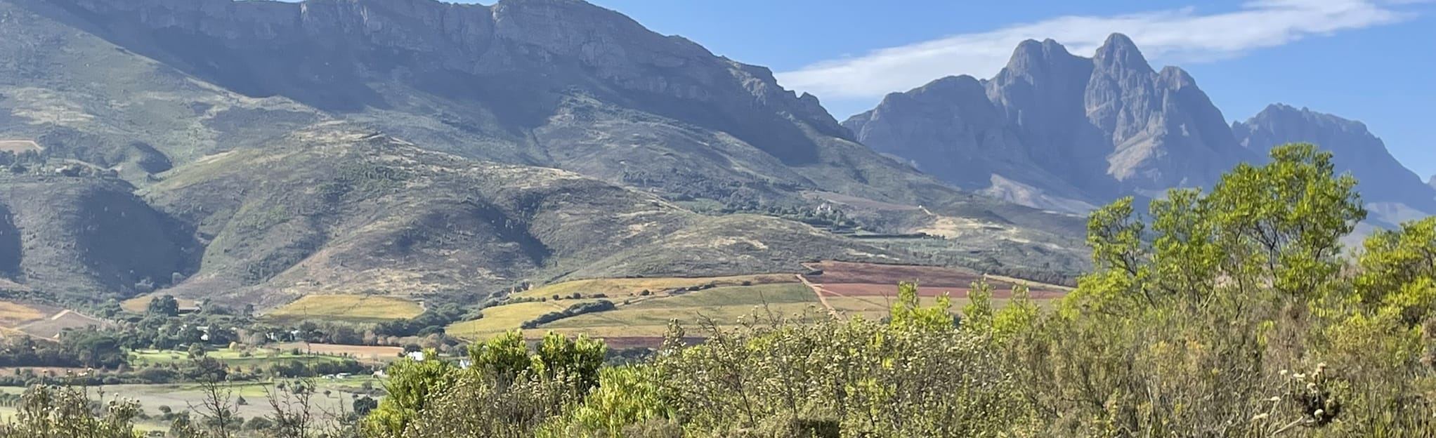 Eerste River Trail - Western Cape, South Africa | AllTrails