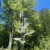 Harpersfield Township Trail, Ohio - 37 Reviews, Map | AllTrails