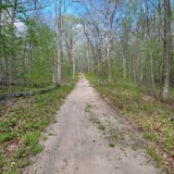 Arcadia Trail Loop, Rhode Island - 182 Reviews, Map | AllTrails