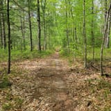 Arcadia Trail Loop, Rhode Island - 279 Reviews, Map | AllTrails