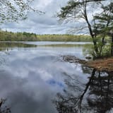 Arcadia Trail Loop, Rhode Island - 279 Reviews, Map | AllTrails