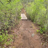 Arcadia Trail Loop, Rhode Island - 279 Reviews, Map | AllTrails