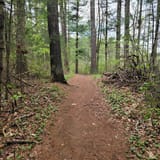 Arcadia Trail Loop, Rhode Island - 279 Reviews, Map | AllTrails