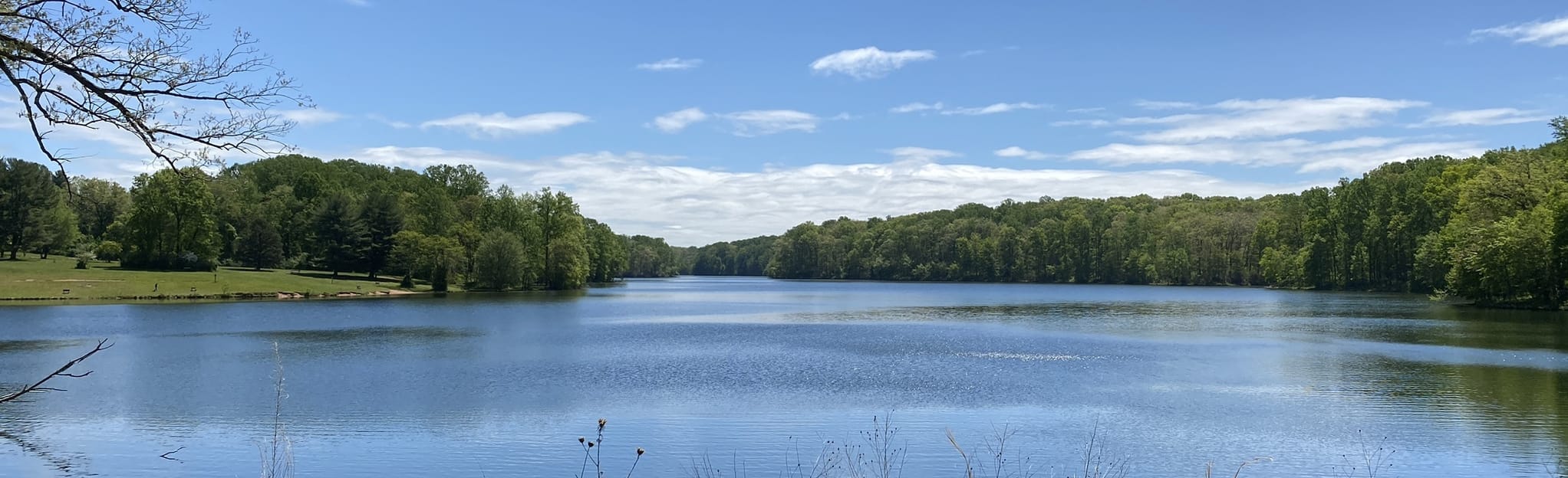 Old Pond Trail and Clopper Lake Loop Trail: 551 Reviews, Map - Maryland ...