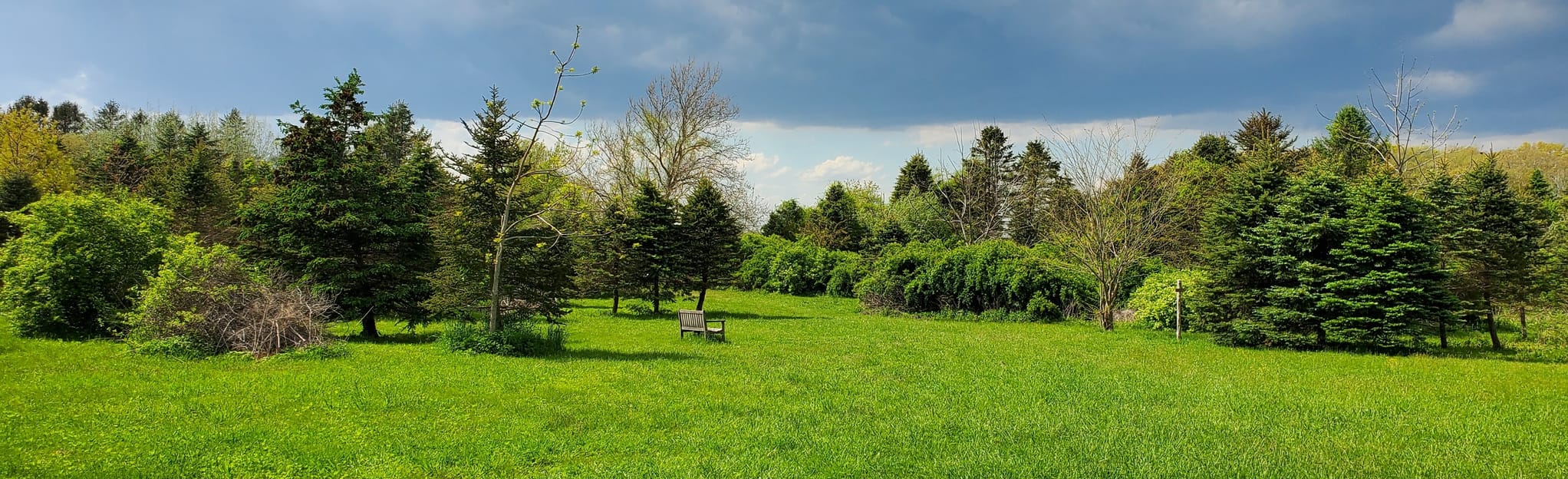 Spruce Acres Trail, Rhode Island - 111 Reviews, Map | AllTrails