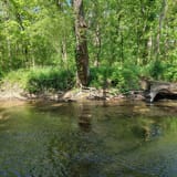 Paul Ruster Trail, Indiana - 226 Reviews, Map | AllTrails