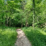 Paul Ruster Trail, Indiana - 226 Reviews, Map | AllTrails