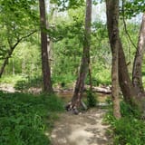 Paul Ruster Trail, Indiana - 226 Reviews, Map | AllTrails