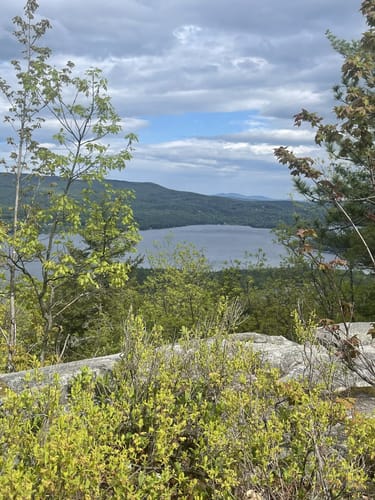 Best Hikes and Trails in Wellington State Park | AllTrails