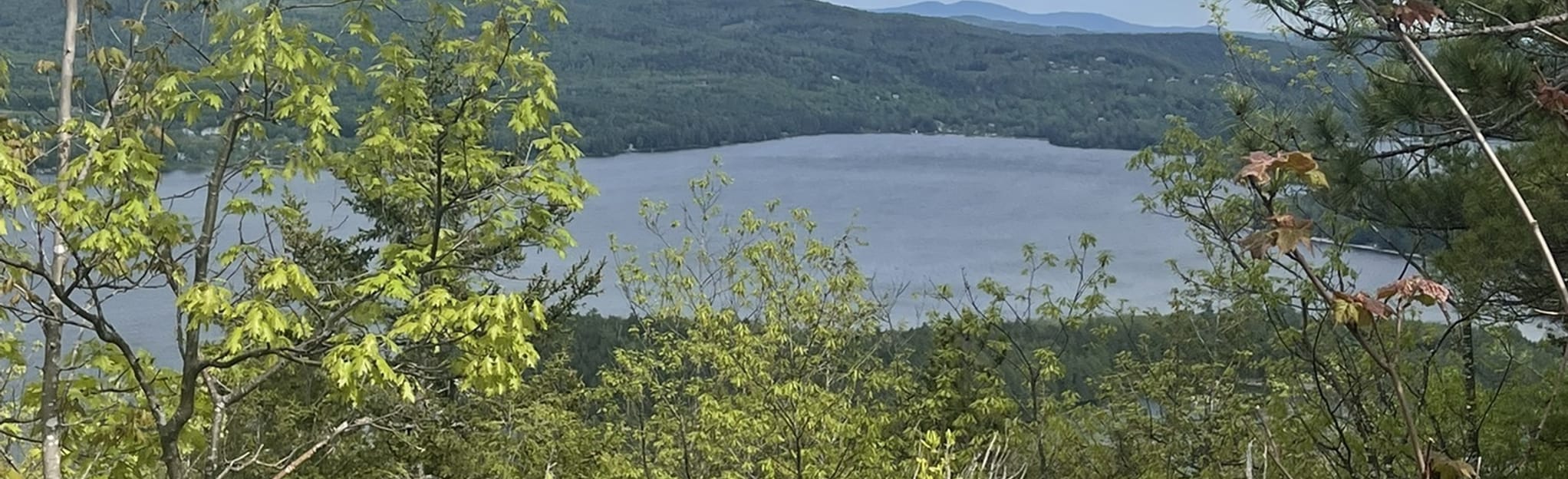 Bear Mountain via Elwell Trail: 26 Reviews, Map - New Hampshire | AllTrails