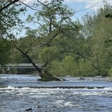 Levee Loop, Pennsylvania - 213 Reviews, Map | AllTrails