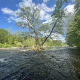 Levee Loop, Pennsylvania - 213 Reviews, Map | AllTrails