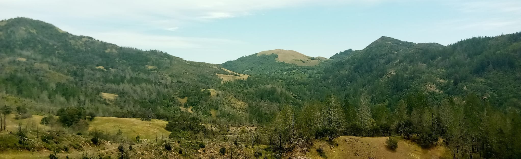 Goodspeed Trail, California - 176 Reviews, Map | AllTrails