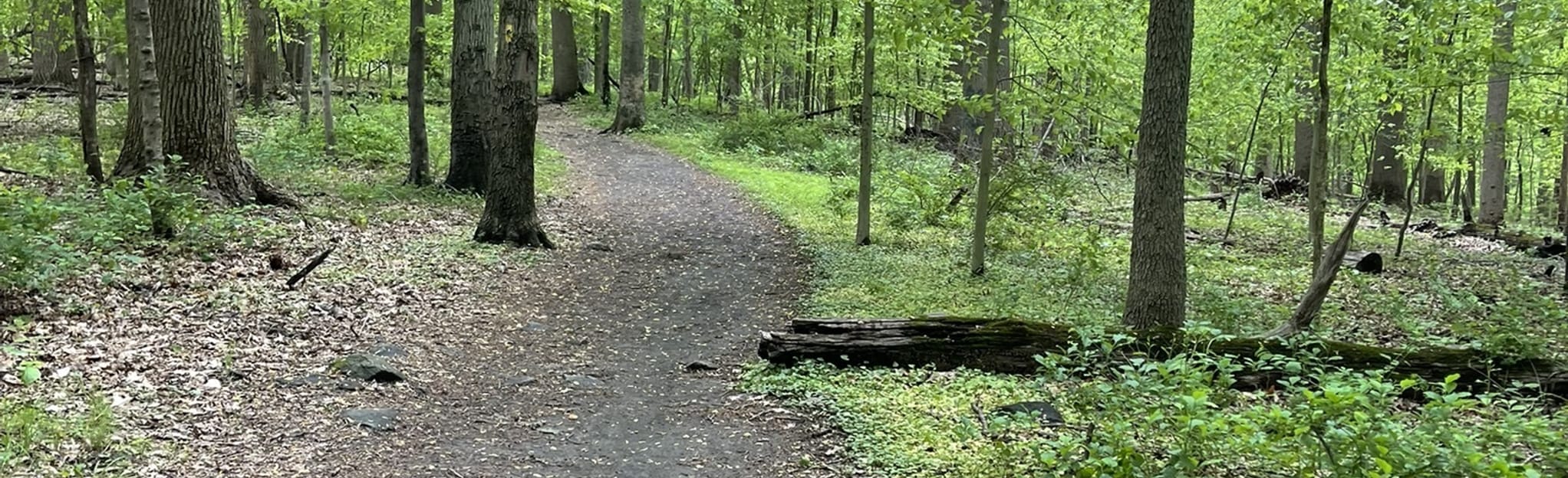 Buzzards Rock Re-Route and Drugs Loop | Map, Guide - Maryland | AllTrails