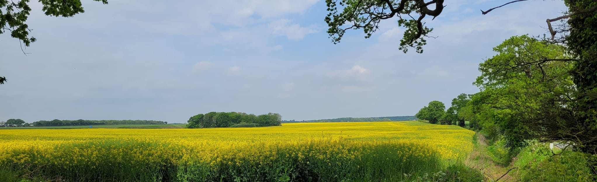 Lower Gresham, Little Barningham, Aldborough and Sustead Circular: 2 ...