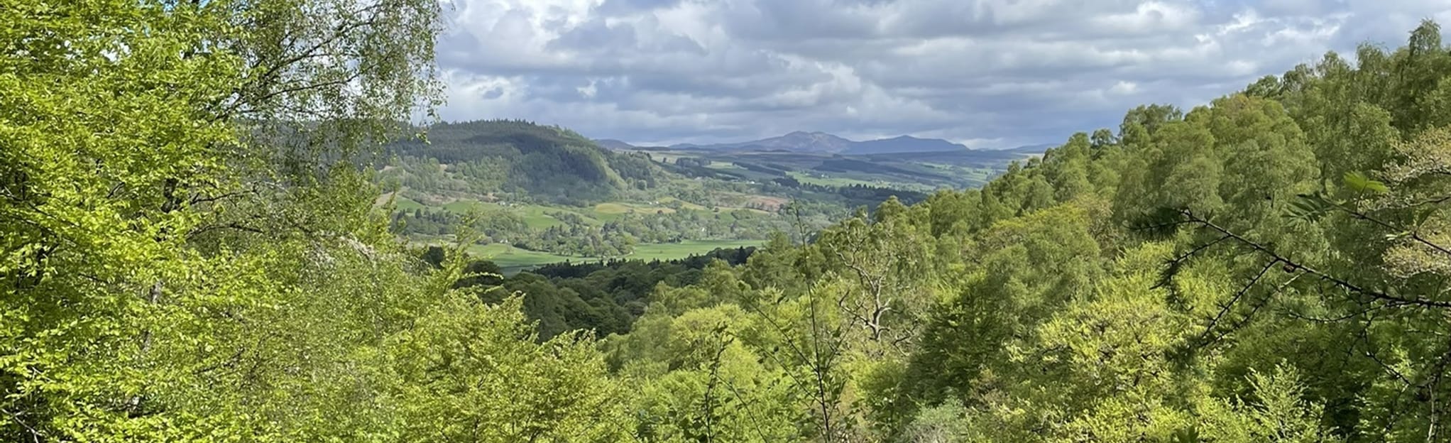 The Birks of Aberfeldy: 201 Reviews, Map - Perth and Kinross, Scotland ...