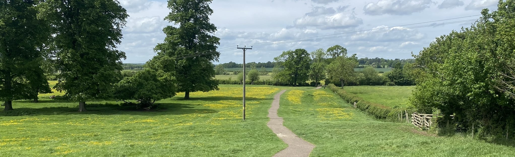 Ouse Valley and Floodplain Forest Nature Reserve Circular Walk: 257 ...