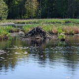 Windham Rail Trail, New Hampshire - 745 Reviews, Map | AllTrails