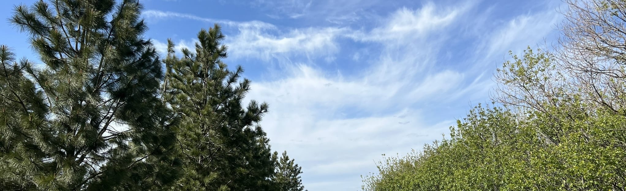AllTrails | Magpie Forest Trail: 24 Reviews, Map - Washington