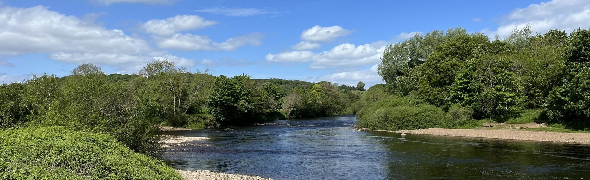 Tyne Green - Warden, Northumberland, England - 20 Reviews, Map | AllTrails