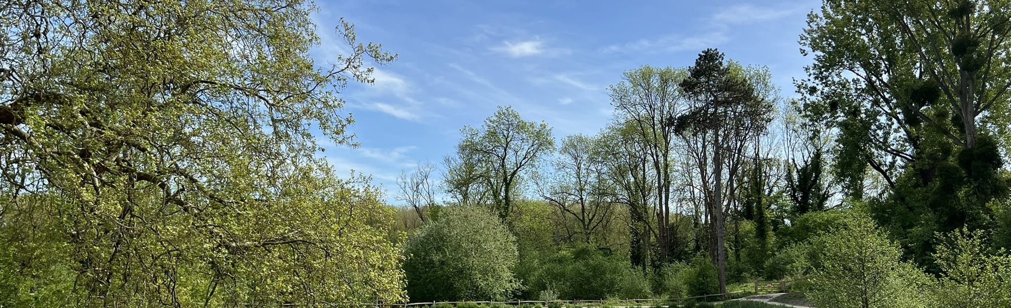 Ightham Mote and Knole Park Circular: 1.278 foto's - Kent, Engeland ...