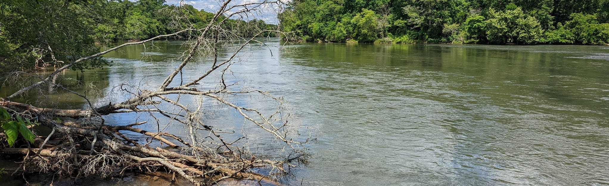 Cochran Shoals Trail from Interstate North Trailhead: 1260 Reviews, Map ...