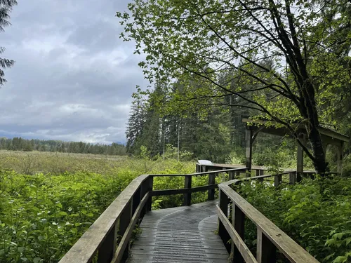 10 Best Trails and Hikes in Maple Ridge | AllTrails