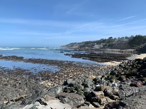 Best Hikes and Trails in Moss Beach | AllTrails