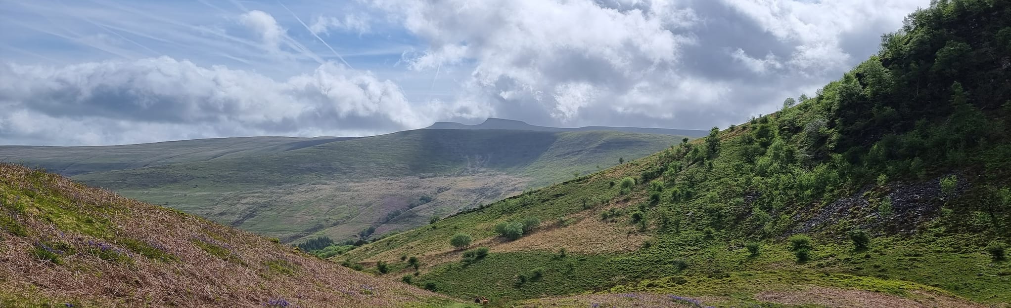 Craig-Cerrig-gleisiad Circular, Powys, Wales - 95 Reviews, Map | AllTrails