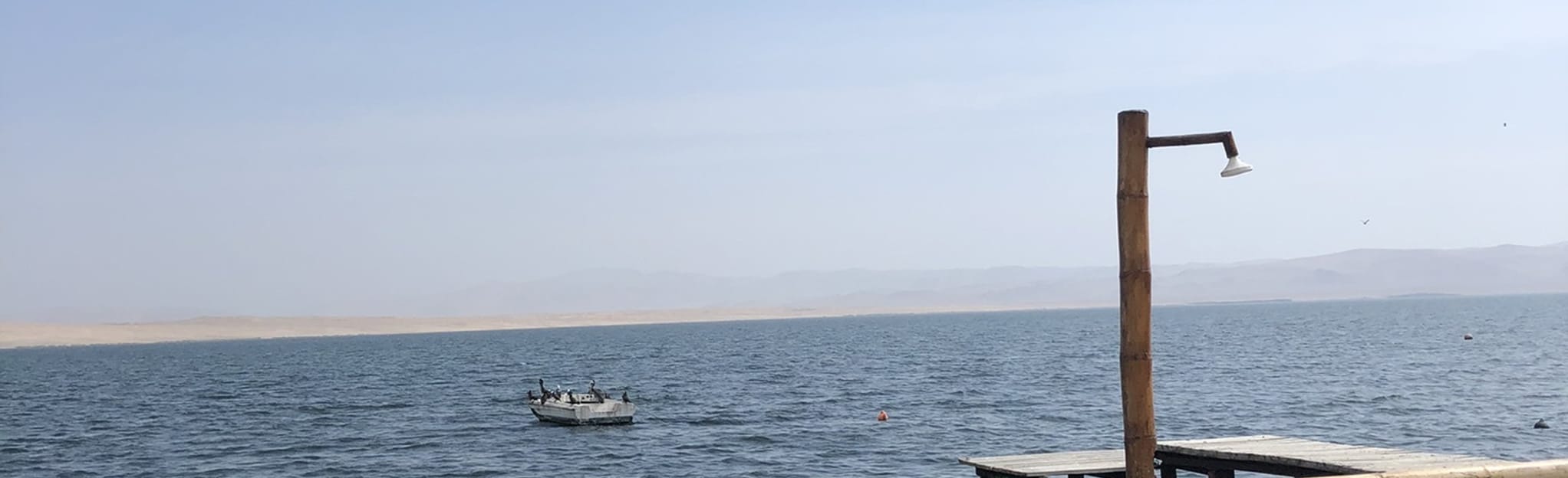 Paracas Bay, Ica, Peru - 4 Reviews, Map | AllTrails