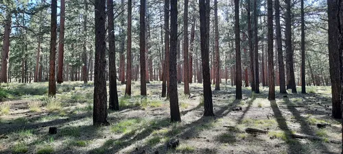 10 Best Trails and Hikes in Jacob Lake | AllTrails