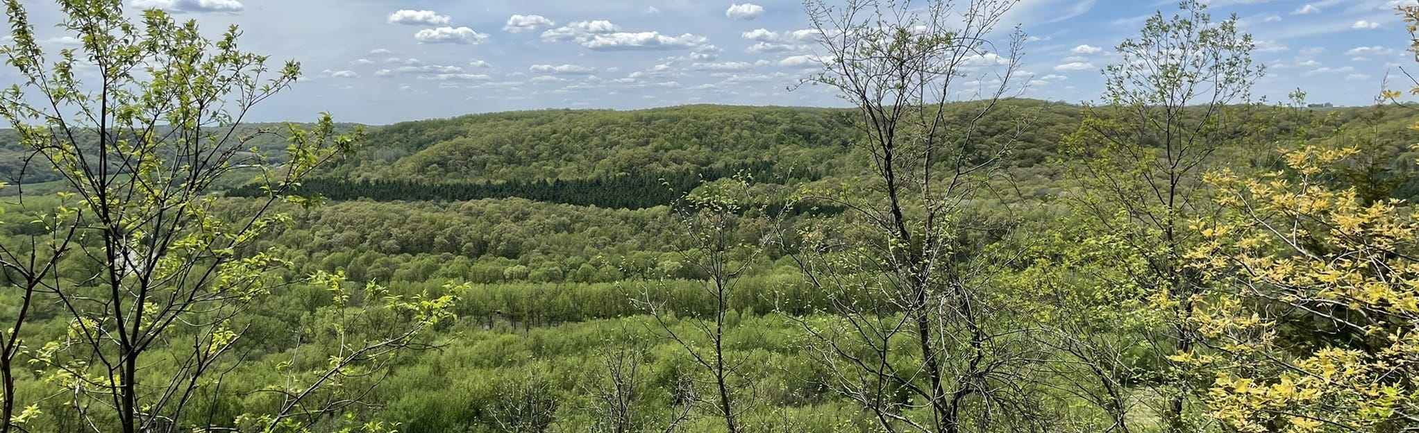 Zumbro Bottoms Loop, Minnesota - 30 Reviews, Map | AllTrails