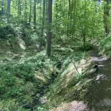 Avalon Loop Trail, Maryland - 293 Reviews, Map | AllTrails